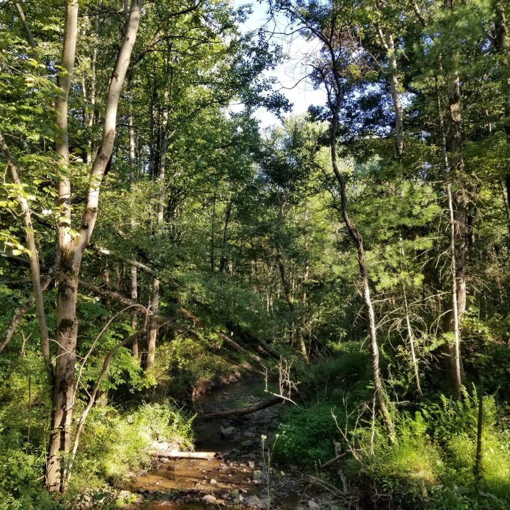 Swatara State Park,What you must have if you go! - Penelope Percival ...